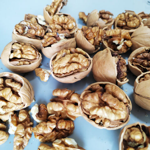 Buy Wholesale China Factory Supply Newest Crop 33 Walnuts In Shell For Expo & Walnut at USD 2599 ...