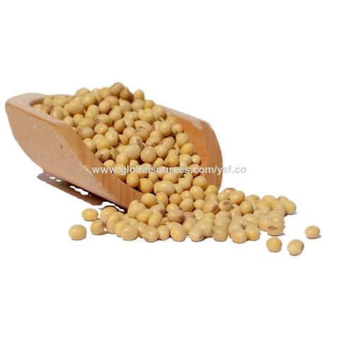 Buy Wholesale Canada Best Quality Natural And Non- Gmo Yellow Soybean ...