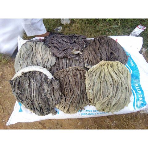 Buy Wholesale Thailand Beef Omasum & Beef Omasum at USD 1600 | Global Sources