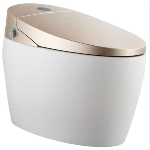 Buy Wholesale China Intelligent Toilet For Home Use Dual Nozzle ...