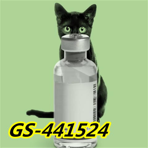 Buy Wholesale China High Quality Veterniary Cat Injection Fipv Cat Fip ...