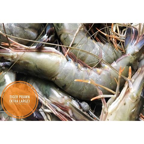 Black Tiger Fresh Frozen Shrimp Prawn - Thailand Wholesale Shrimps $10 ...