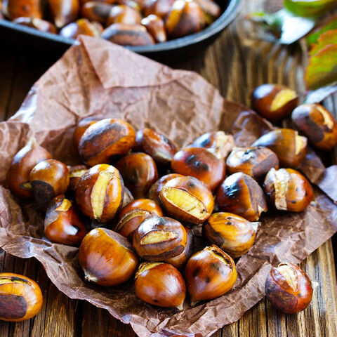 Buy Wholesale Canada Organic Raw Fresh Chestnut Chinese Bulk Chestnuts ...