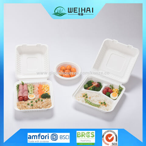 Buy Wholesale China Hot Sale Food Delivery Box Disposable Food ...