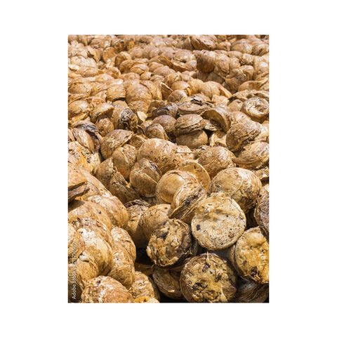 Buy Wholesale United States Natural Rubber Cup Lump / Natural Rubber ...