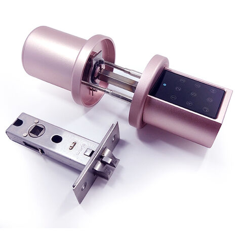 Buy Wholesale China Smart Remote Control Digital Deadbolt Lock Password ...