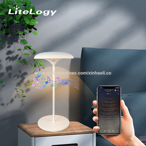 Buy Wholesale China 2023 Modern Home Decoration Speaker Music Note Lamp ...