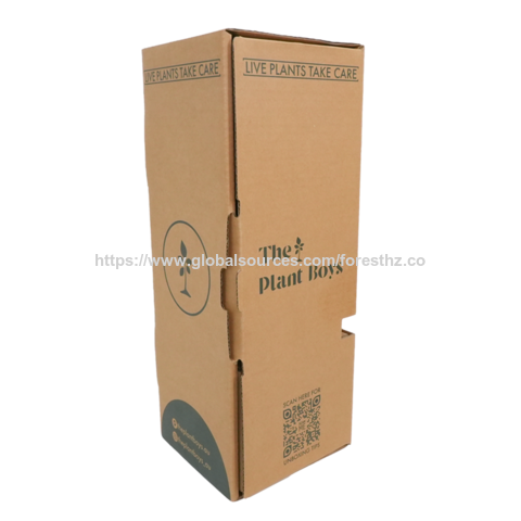 Eco Friendly Durable Corrugated Potted Live Natural Plant Packaging ...