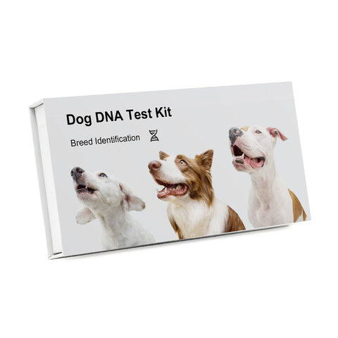 Buy Wholesale China Dog Dna Test Kit Home Pet Dna Test Kit Breed ...