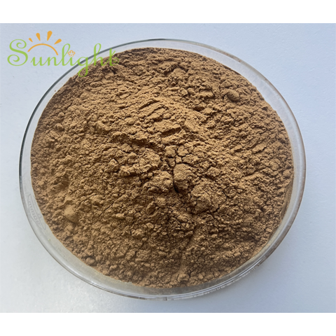 Factory Price Wholesale Manufacturer Broccoli Sprout Extract Powder ...