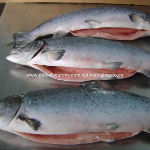 Buy Wholesale South Africa Buy Fresh Atlantic Salmon Online / Fresh ...