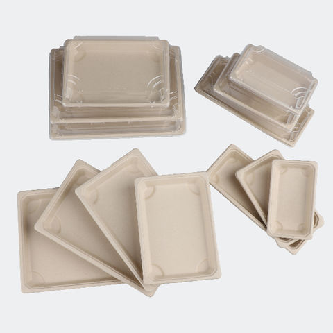 Buy Wholesale China Rectangle Biodegradable Sugarcane Pulp Bagasse ...