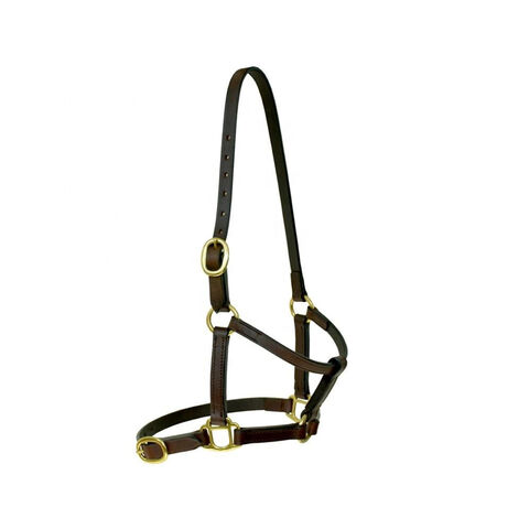 Buy Wholesale China High-quality Leather Horse Halters - & Halters at ...