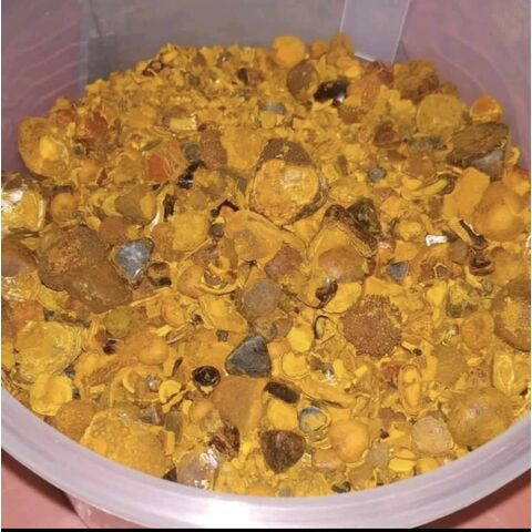 Buy Wholesale Canada Ox Cattle/cow Gallstones Whole Stones Ox ...