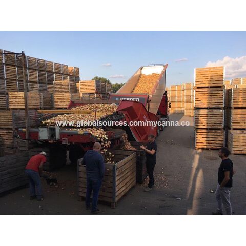 Buy Wholesale Canada 5% Broken High Quality Long Grain Jasmine White ...