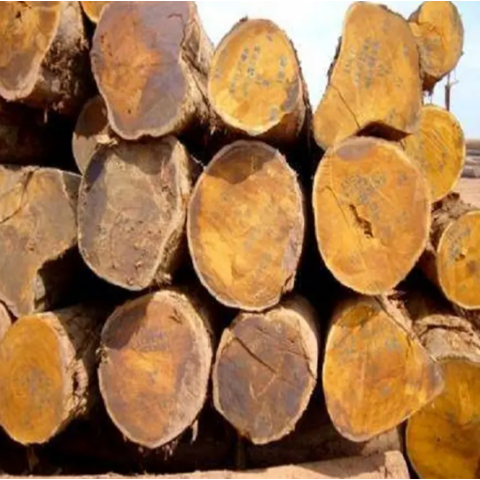 Buy Wholesale United States Hot Selling Pine And Oak Teak Wood Logs ...