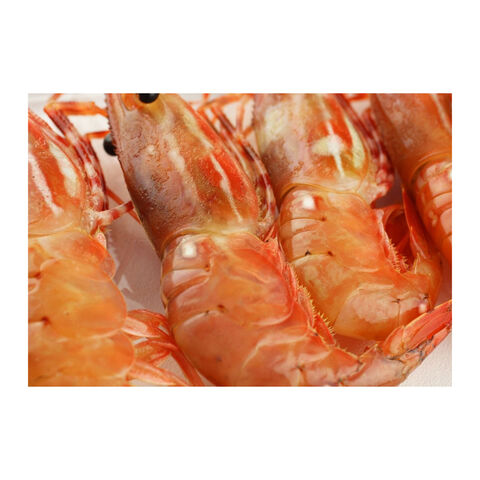 Buy Wholesale United States Factory Seafood Whole Round Supplier High ...