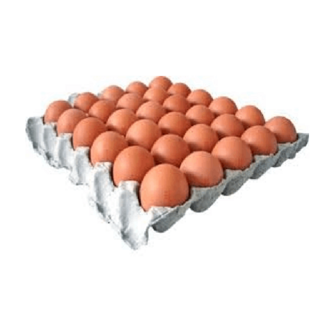 Buy Wholesale United States Broiler Hatching Eggs Ross 308 And Cobb 500 ...