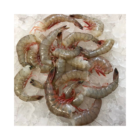 Buy Wholesale United States Frozen Headless Prawns Prawns Raw Peeled ...