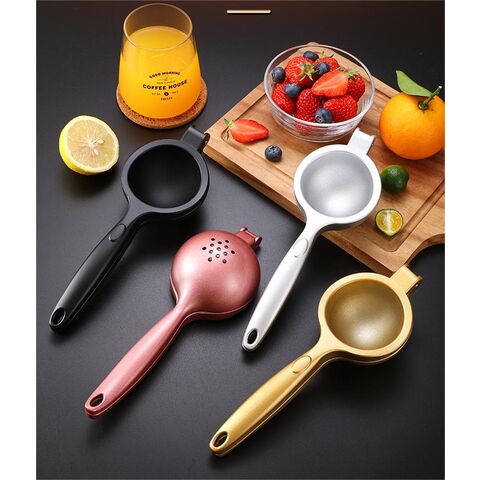 Buy Wholesale China Manual Stainless Steel Fruit Cold Juicer Press ...