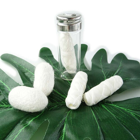 Buy Wholesale China Factory Price Biodegradable Silk Dental Floss In ...