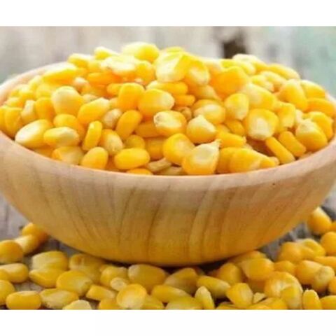 Buy Wholesale Canada Fresh Yellow Corn Seed Best Price Wholesale ...