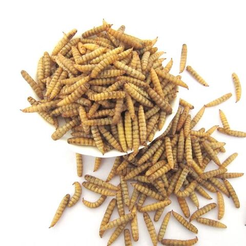 Buy Standard Quality China Wholesale Dried Black Soldier Fly Larvae ...