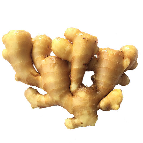 High Quality Premium Fresh Yellow Ginger Origin Vegetable Grade Color ...