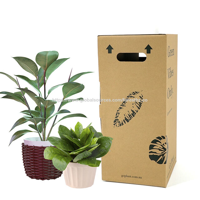 Bulk Buy China Wholesale Custom Logo Printing Plant Packaging Box Eco ...