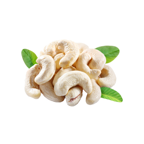 Buy Wholesale Canada High Quality Cashews Nut Supplier Offers Raw Cashew Nuts In Shell & Cashew ...