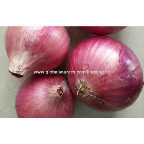Buy Wholesale China Supply All Year Around Organic Fresh Red Onion With ...