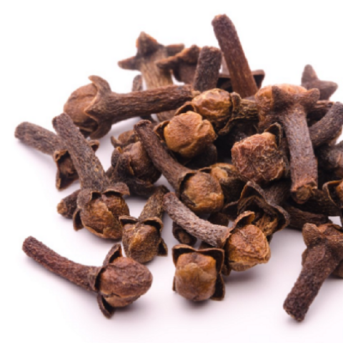 Buy Wholesale Canada Factory Direct Sales Excellent Quality 100% ...