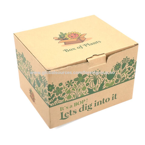 Factory Direct High Quality China Wholesale Custom Paper Plant Shipping ...