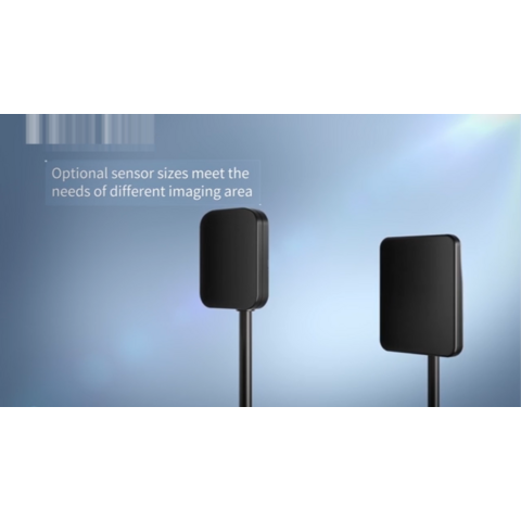 Portable Digital Rvg Dental X-ray Sensor X Ray Dental Xray Sensor For ...