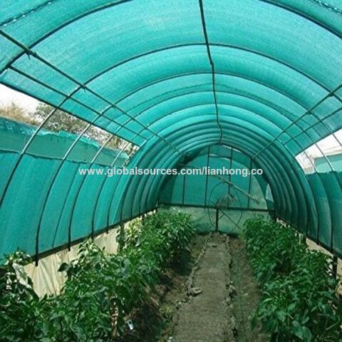 Buy Wholesale China Cheap Price Sunshade Net For Pineapple Pe Green ...