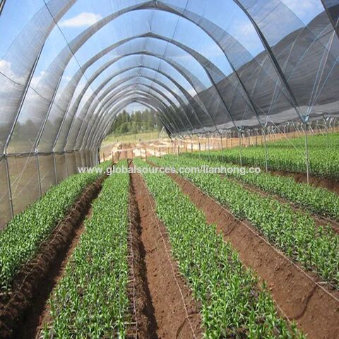 Buy Wholesale China Best Sun Shade Netting Agriculture Pe Sun Shade Net ...