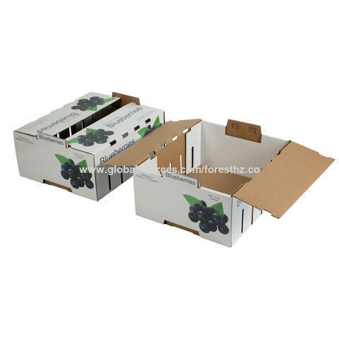 Buy Wholesale China Custom Blueberry Fruit Shipping Box Recycled Kraft ...
