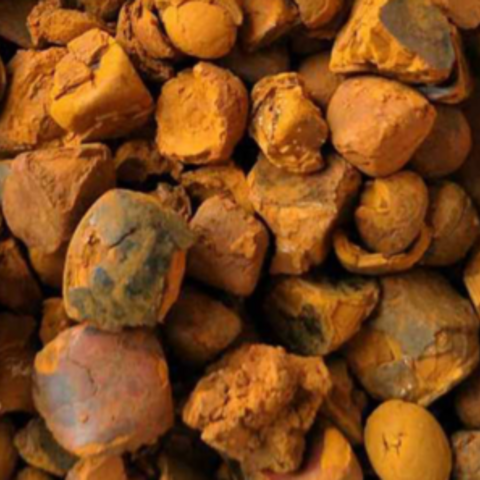 Buy Wholesale South Africa Gallstones Cattle Ox Cow Gallstones ...