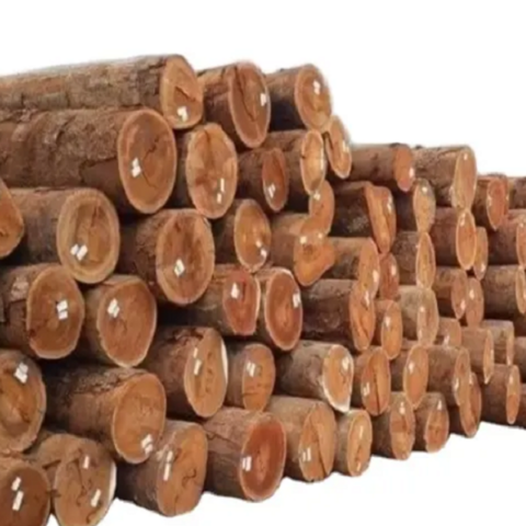 Buy Wholesale Turkey White Oak Sawn Logs, 30+ Cm Diameter & White Oak ...