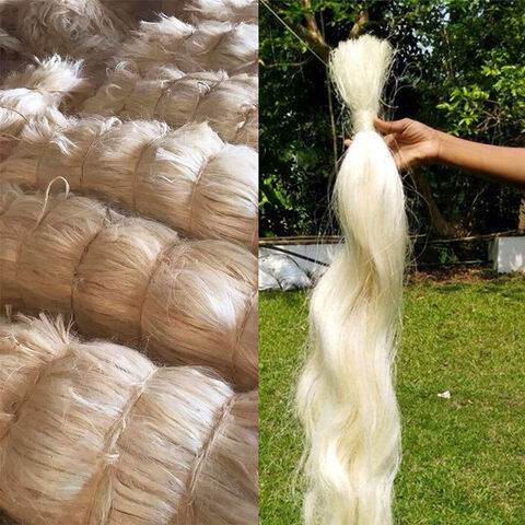 Raw Fiber Ug Ssug Sisal Fiber We Can Supply From China & Brazil ...