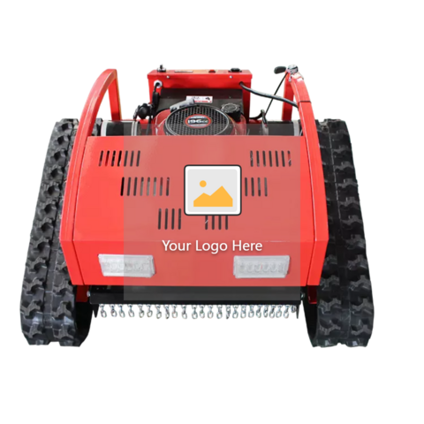 Buy Standard Quality China Wholesale Rippa Cheap Garden Electric Remote ...