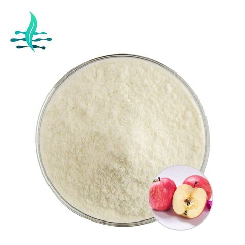 Buy Wholesale China Freeze Dried Food Grade Organic Apple Powder For ...