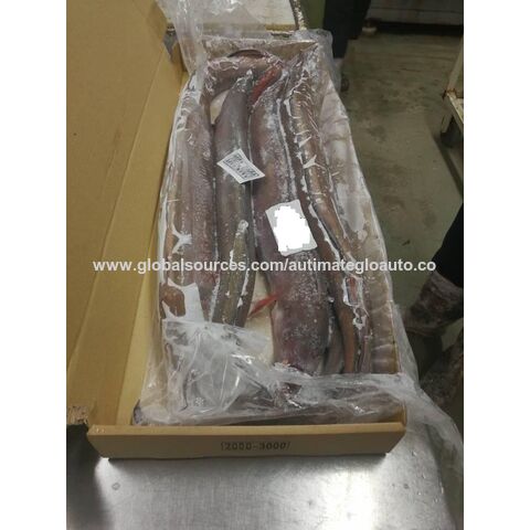 Buy Wholesale South Africa Live Eeh Fish For Sale / Frozen Eel Fish ...