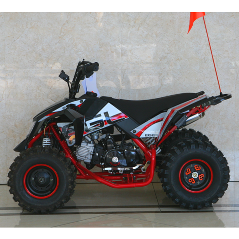 110cc Gas Super Sports Quads Atv - Explore China Wholesale 110cc Sports ...
