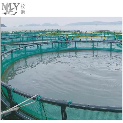 Shrimp Fish Farm Net Cage For Breeding Fish Ponds Hapa Net Cage Fishing ...