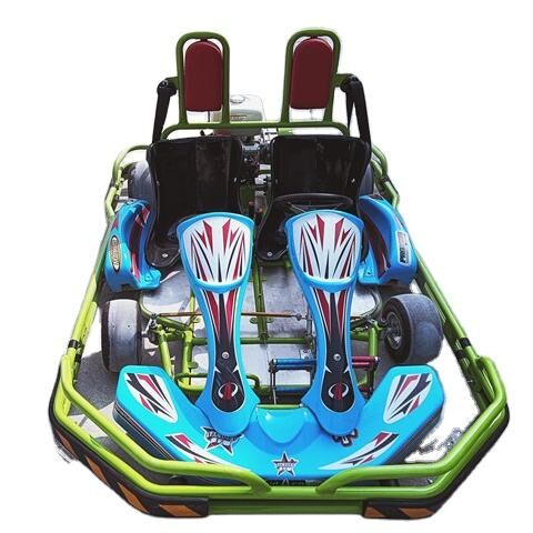 200cc Racing Two Seater Drift Gas Go Karts For Adults Gas Powered ...