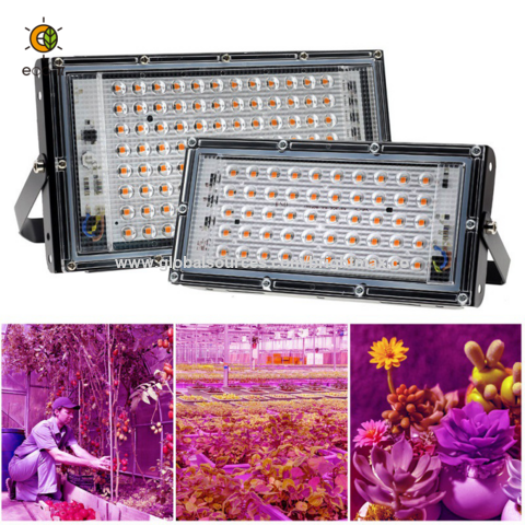 Buy Wholesale China Uv Purple Light European Plug Full Spectrum Plant ...