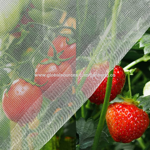 Buy Wholesale China Gardening Anti Insect Net Vegetables Screen Mesh ...