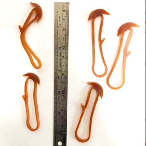 Buy Wholesale China Mushroom Head Rubber Band High Elasticity Arrow ...