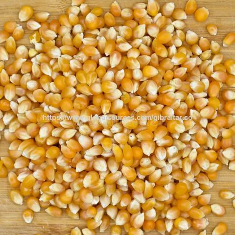 New Crop Yellow Corn Maize For Human And Animal Feed Grade Consumption ...